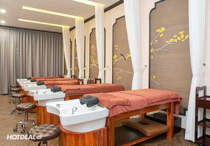 Osala Spa Gội Đầu Thảo Dược Trị Liệu Cổ Vai Gáy