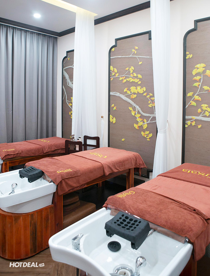 Osala Spa Gội Đầu Thảo Dược Trị Liệu Cổ Vai Gáy